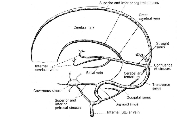 What I Learned Today: March 2019