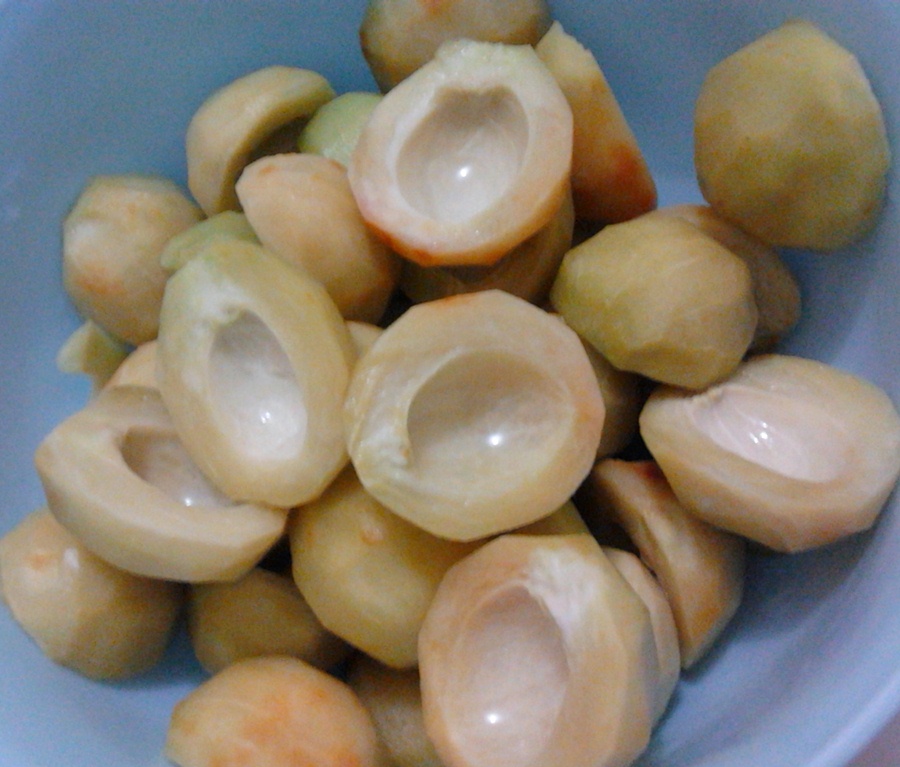 BERANDA GREEN INDONESIA: Emas dari Negeri Garuda, Pala (Myristica fragrans)