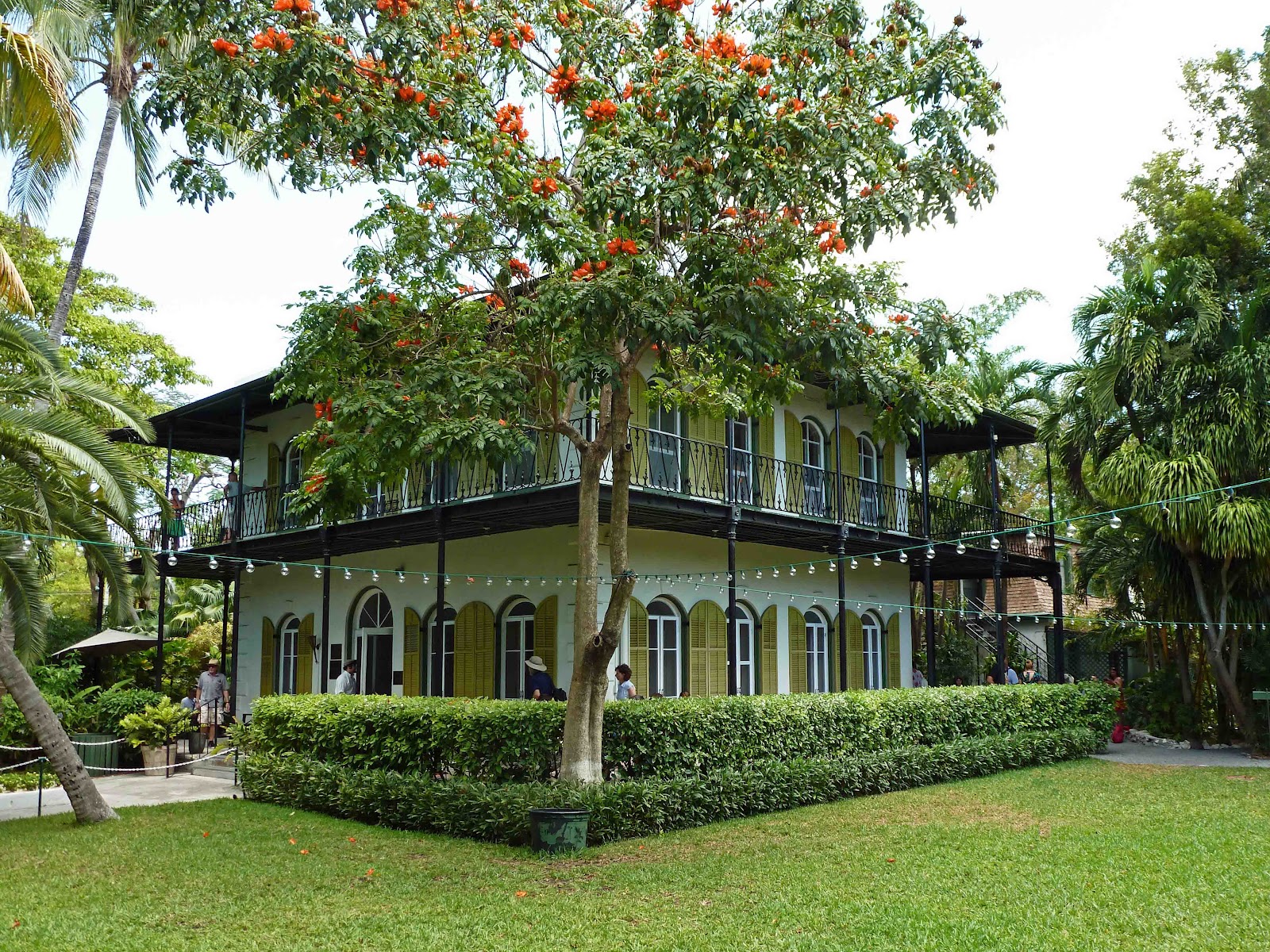 Last Dance: Key West - Hemingway