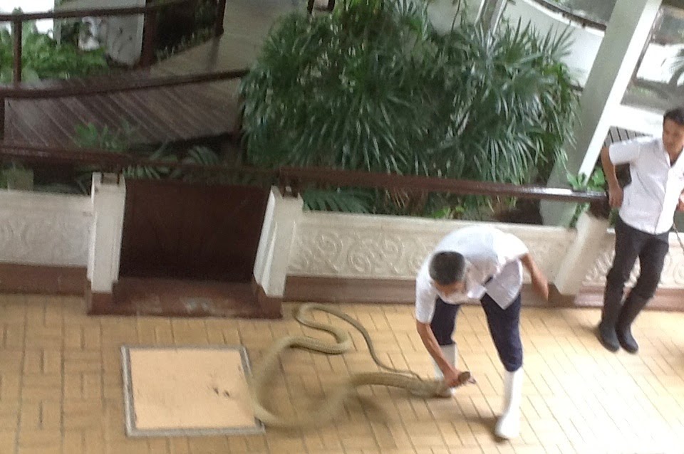 innovativeparul: Worth to Visit ' Snake Farm ' in Bangkok.