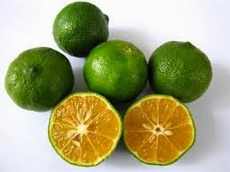 Perbedaan Jeruk Lemon, Nipis, Limau dan Purut ~ Jeruk Soto