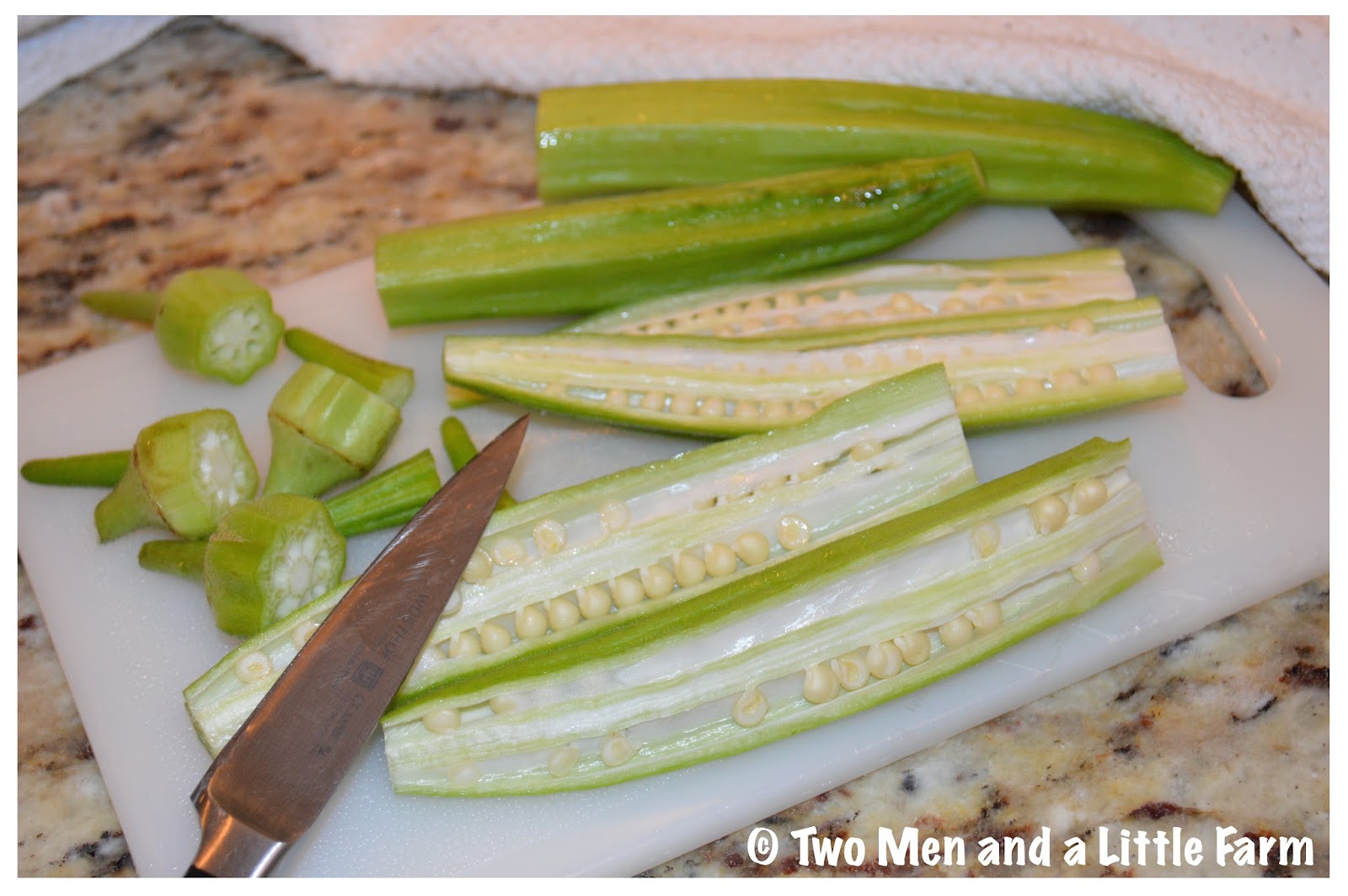 Two Men and a Little Farm: OVEN ROASTED OKRA FRIES RECIPE