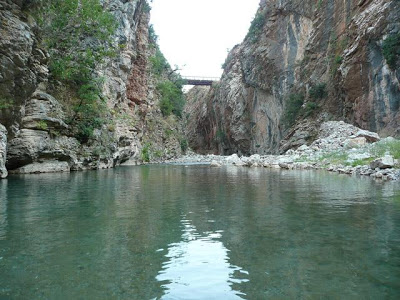 Παρακαμπύλια Νέα: ΤΟ ΠΑΝΑΙΤΩΛΙΚΟ ΜΕ ΤΑ ΠΙΟ ΩΡΑΙΑ ΘΕΡΕΤΡΑ