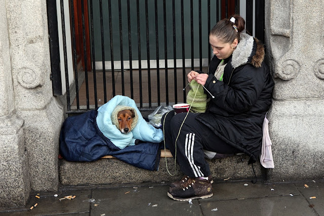 White Wolf : Dog's Love: Beautiful series of pictures showing homeless ...