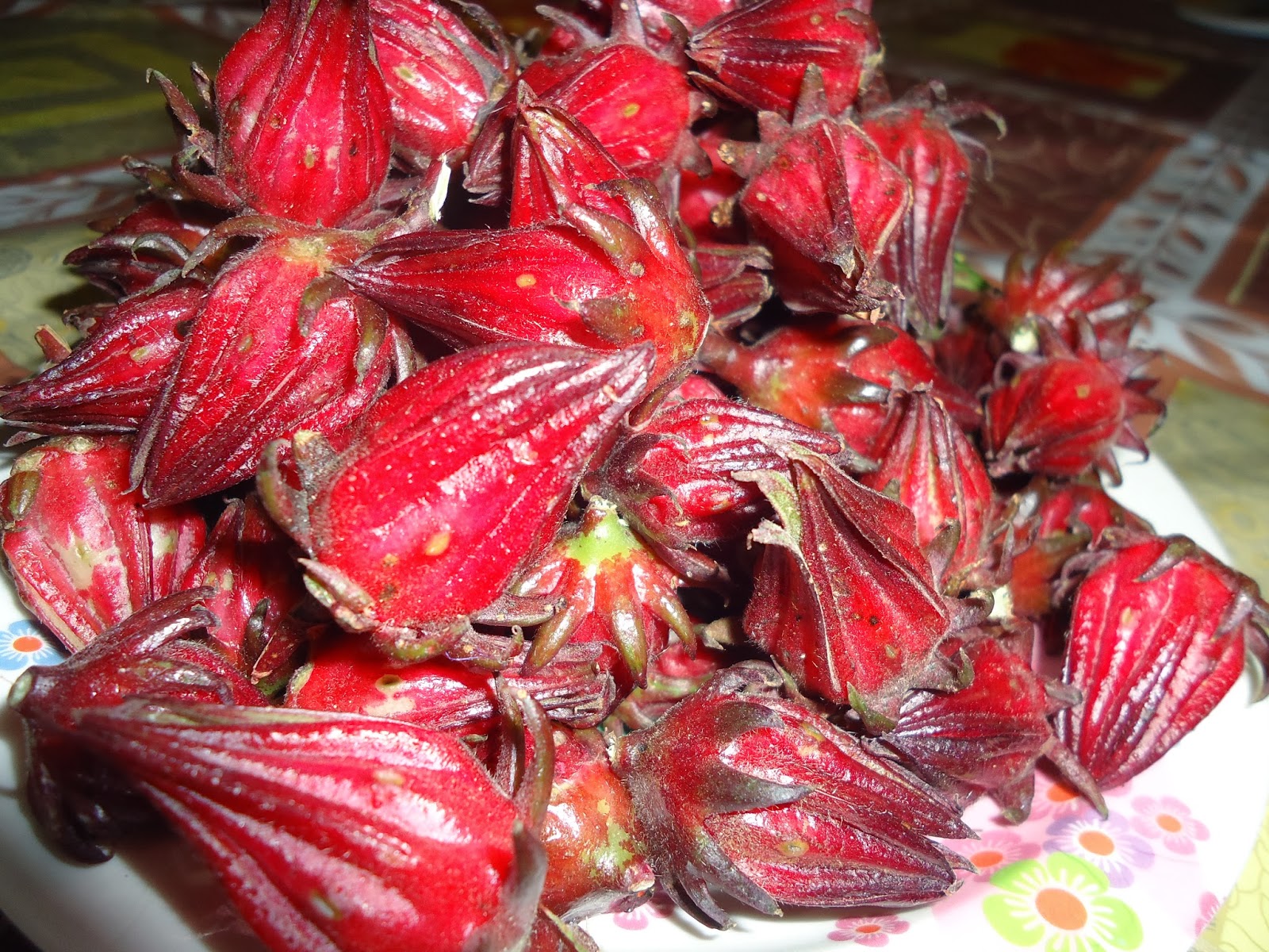 Kusuma's Abhiruchi: Gongura Puvvula Pachadi