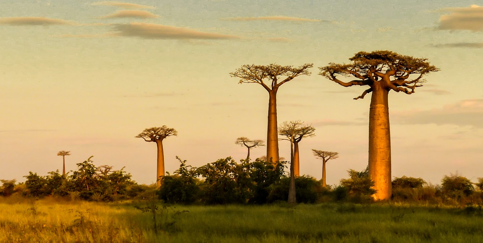 Descubre Madagascar (2ª parte)