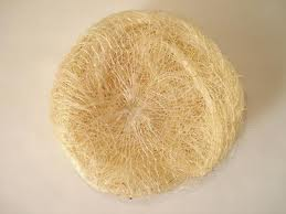 PLANTAS CURATIVAS: GUAYABA Y ESTROPAJO