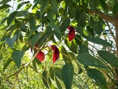 Reuniendo Letras: noviembre 2014