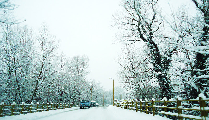ΠΡΟΜΑΧΟΙ-ΣΩΣΑΝΔΡΑ-ΑΡΙΔΑΙΑ...ΟΔΟΙΠΟΡΙΚΟ ΤΩΝ "Π.Ν." ΣΤΟ ΧΙΟΝΙΣΜΕΝΟ ΤΟΠΙΟ ...