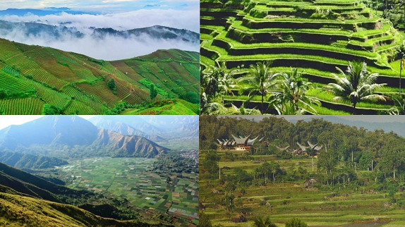 Undak-undakan Sawah Bagaikan Tangga Raksasa | Info Cantik Anda