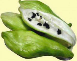 Gastronomia Peruana: LA CAIGUA