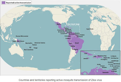 Avian Flu Diary: CDC Adds Peru To Zika Affected Travel Destinations