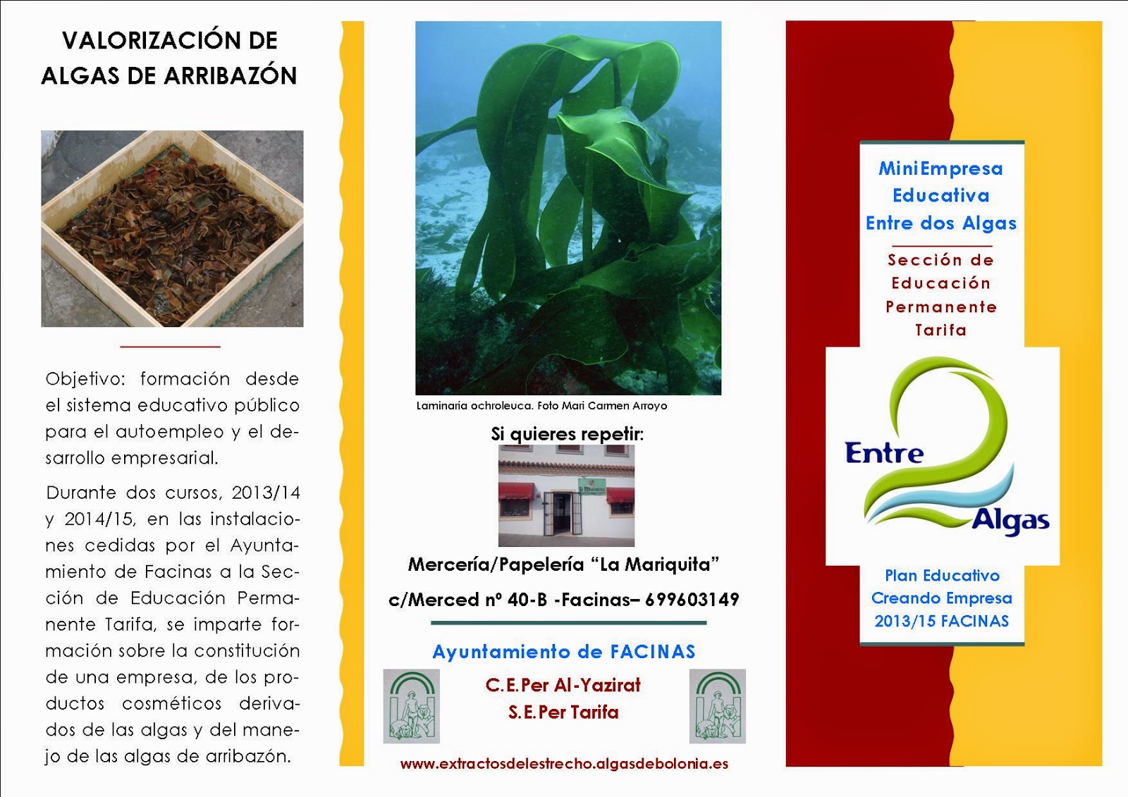 PROYECTO ALGAS: noviembre 2014