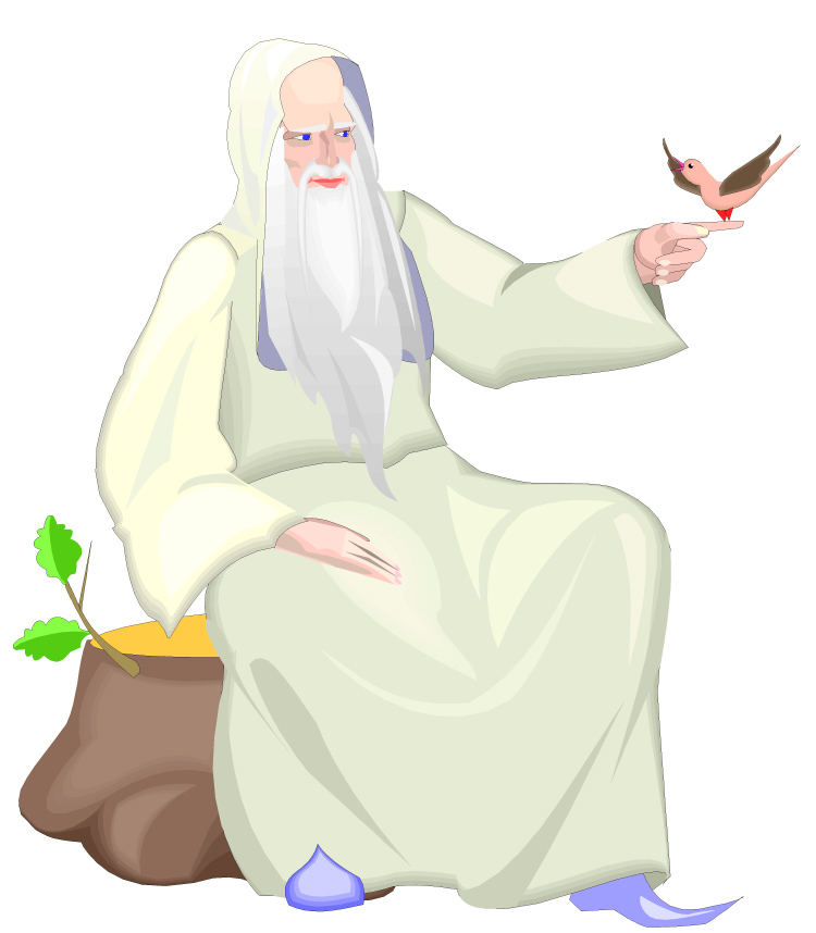 Nature: Observations and Meanings: Musing on Black, White, and Grey ...