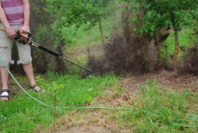 FRODO DDD: Rodenator