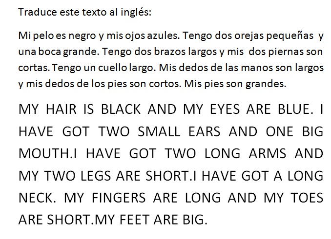 English for you: Inglés Básico