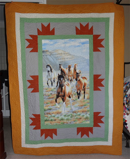 I Quilt, Therefore I Am: Quilt 63: Stallion Canyon - DONE!