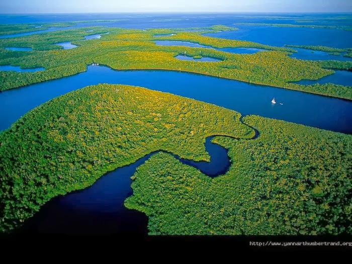 Amapá em Paz: O GIGANTESCO ‘RIO-MAR’: Rio Amazonas pode incrementar o ...