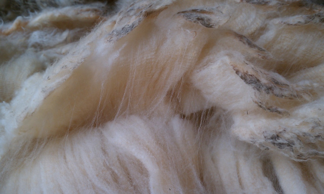 Spinner's Eden: WONDERFUL WOOLIES FLEECE & FIBER SALE at Spinners Eden ...