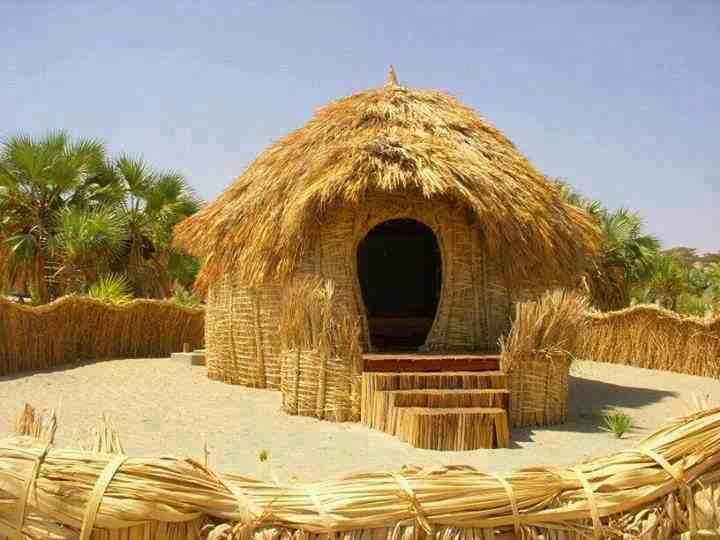 Small Storage Sheds (Puna Area) Yurts (Islandwide) – Welcome to Hawaii REI