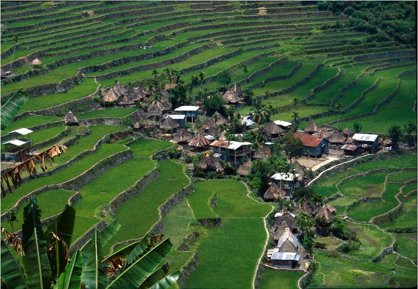 Go Philippines: Rice Terraces of the Philippine Cordilleras