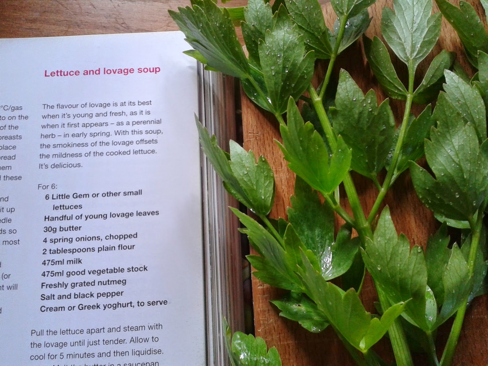 The White Barn: lettuce and lovage soup :: recipe