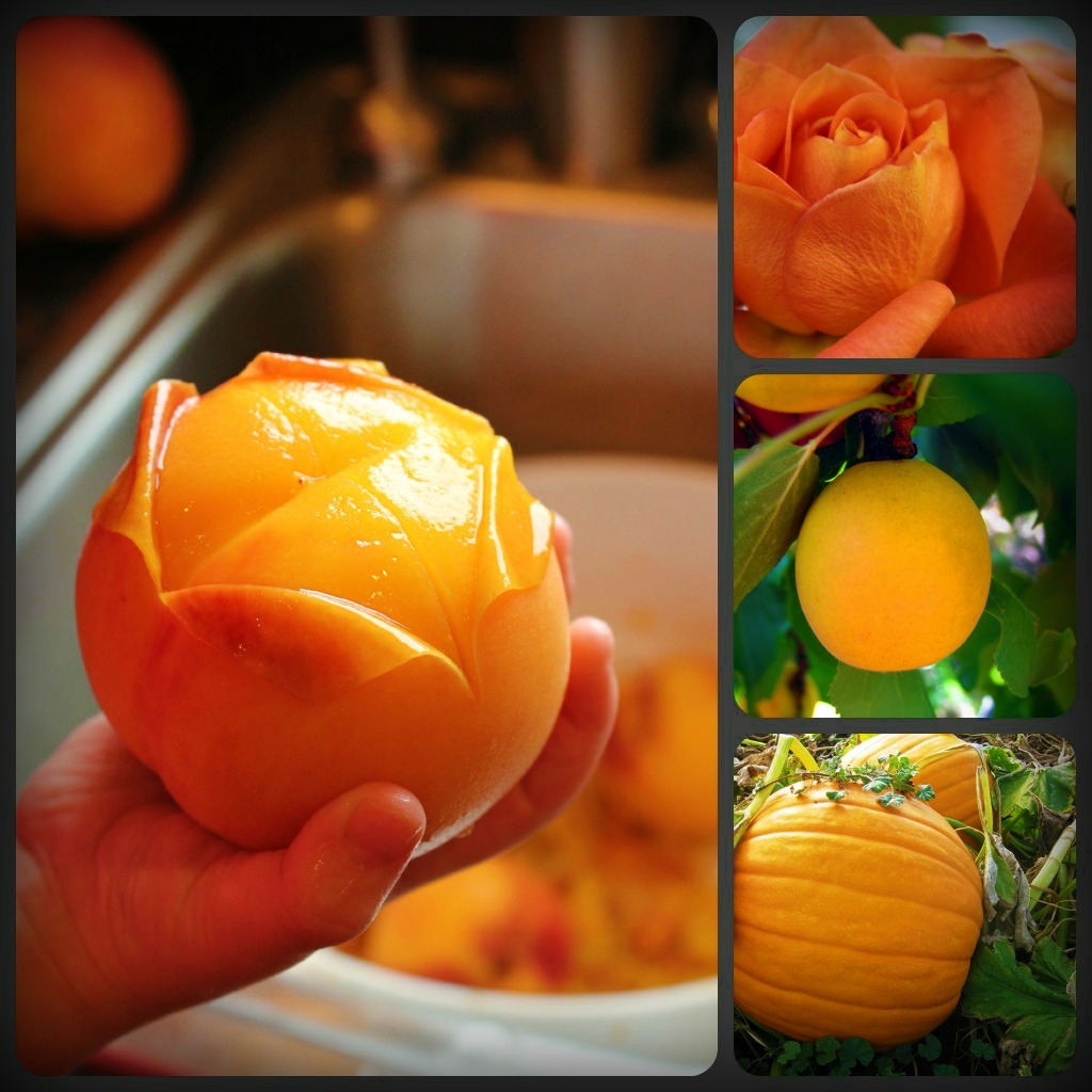 See You in the Powder Room: Color Energy: Orange