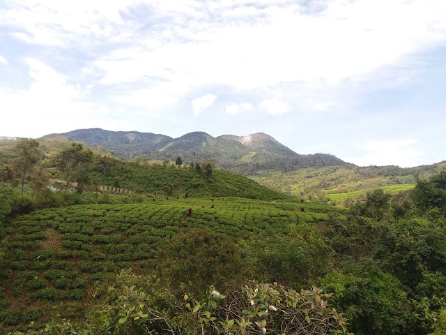 Wisata Gunug Talang Sumatera barat ~ Kaki satu Meter