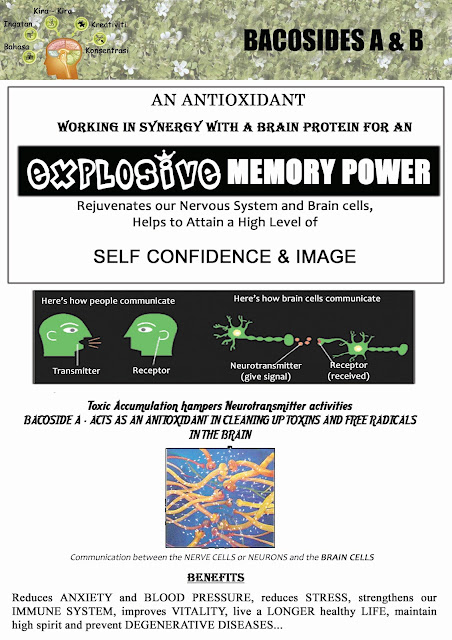 Alida's Memo Plus Gold Online Shoppe: MEMO PLUS GOLD - RM 59.90 ( 60 ...