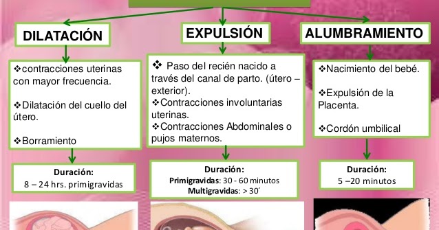 Fases del parto | Dale al coco un poco