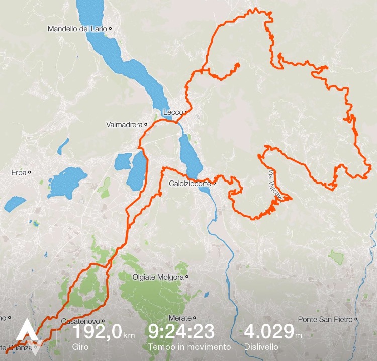 Team DuePi: Canicola!