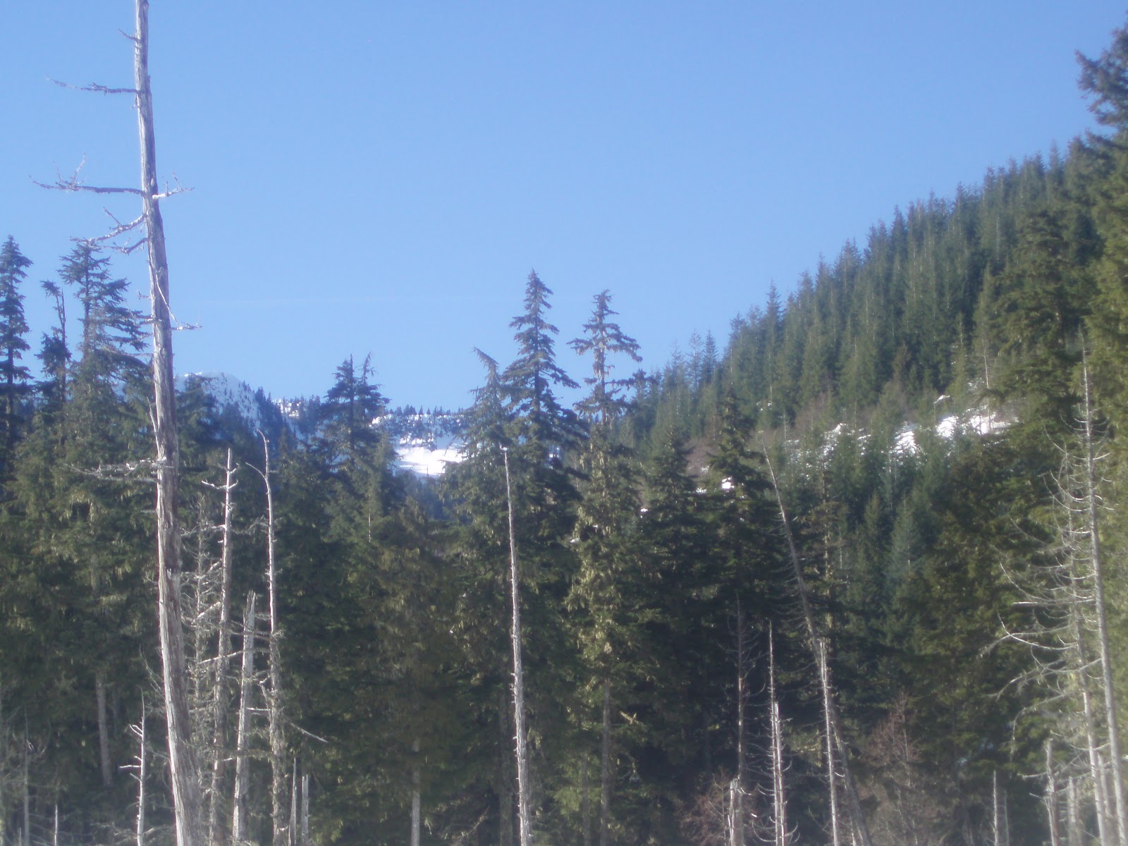 Fagin's Weather World - Hike Washington: Hike of the Week- Coplay Lake
