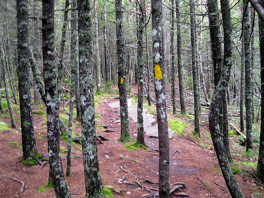 Hiking in the White Mountains: Foliage Hikes: Tecumseh and the Welch ...