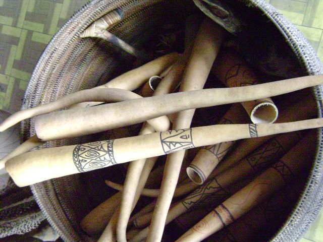 rumah adat papua: Gambar Koteka Papua