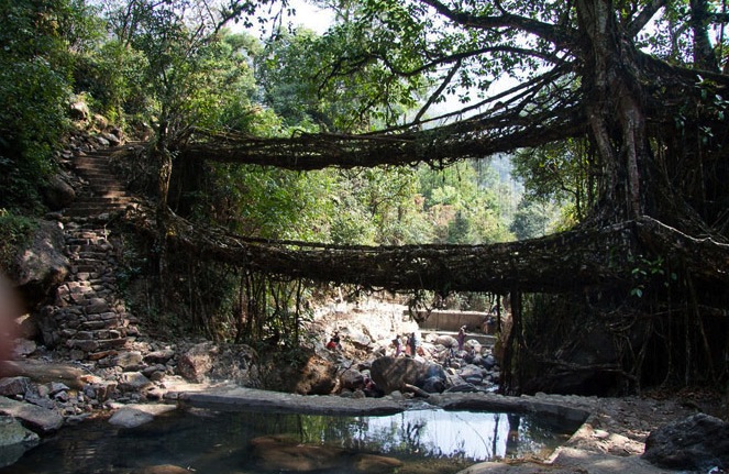 Damn n Crazy: "LIVE" BRIDGES IN INDIA