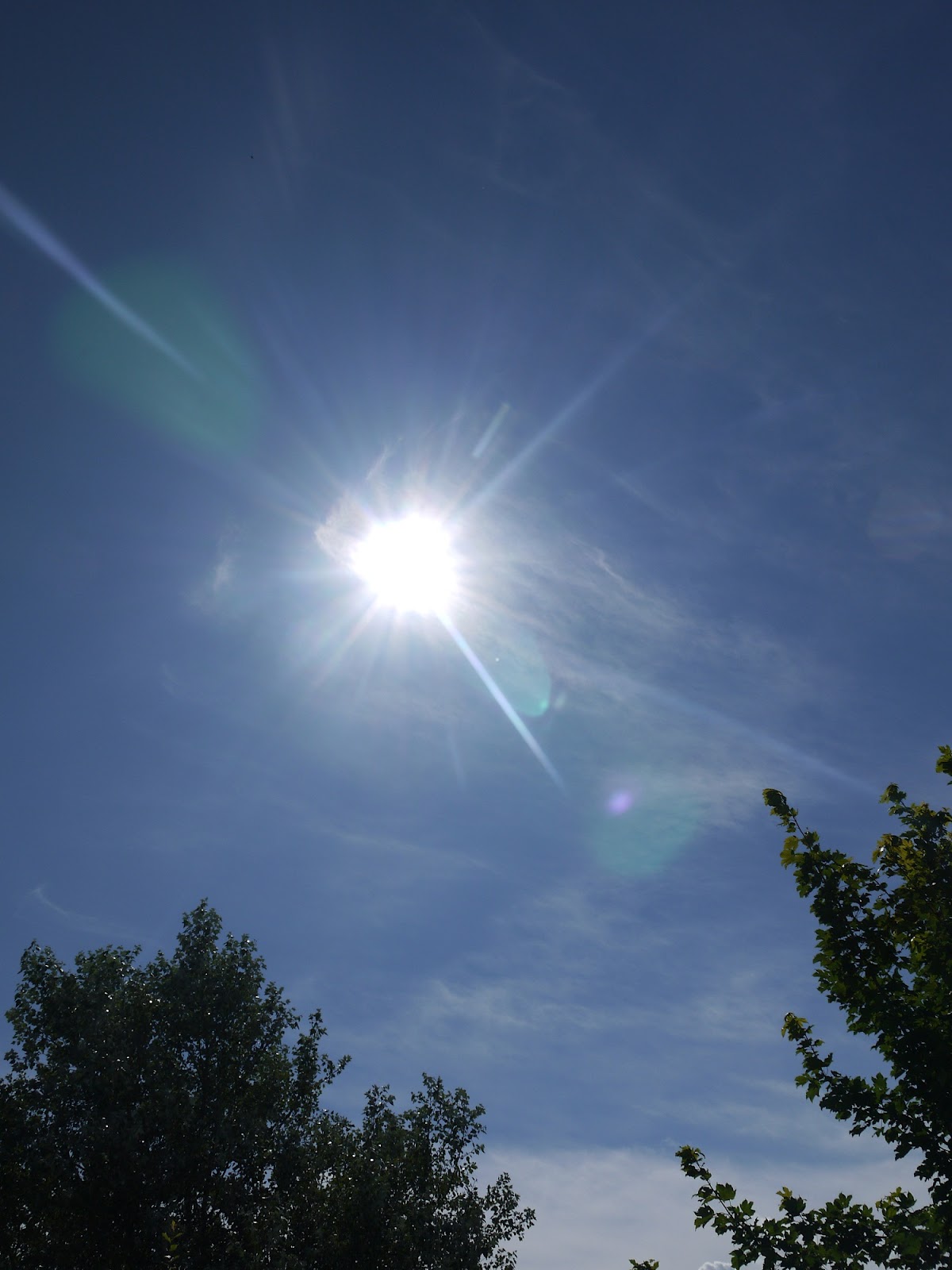 Inside the Wendy House: Moving Out and Looking Forward