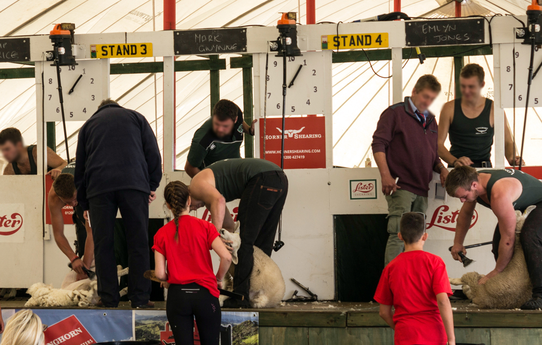 Places to Visit in Wales