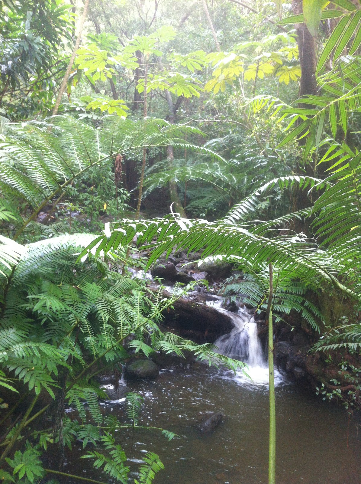 Regan and Wendy Ramsay Family