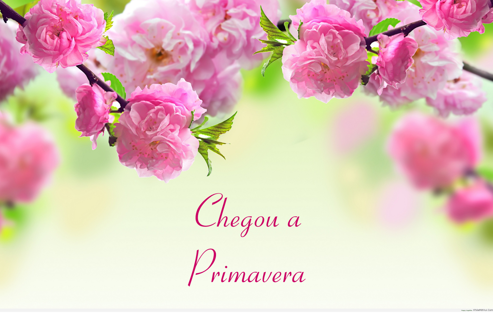 chicapirosa: Chegou a Primavera!
