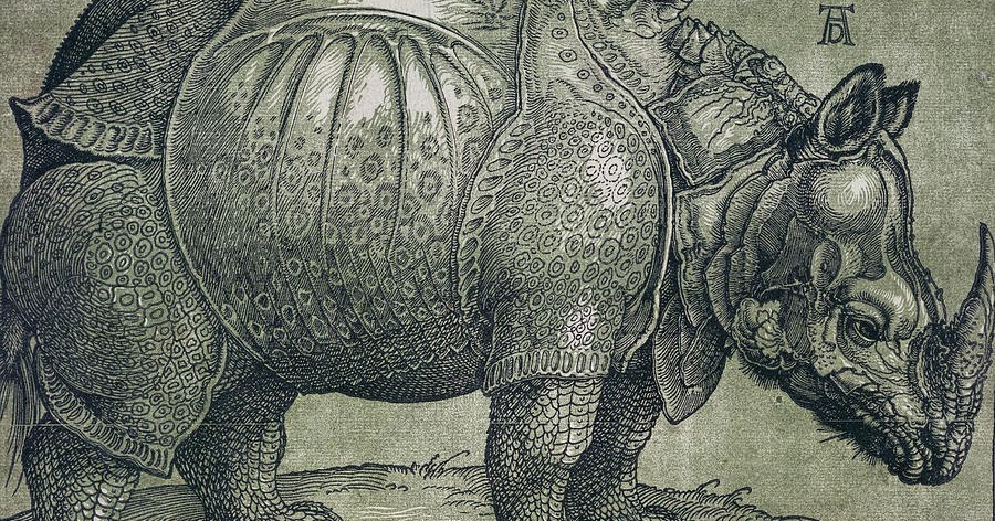 bensozia: Albrecht Dürer: Animals