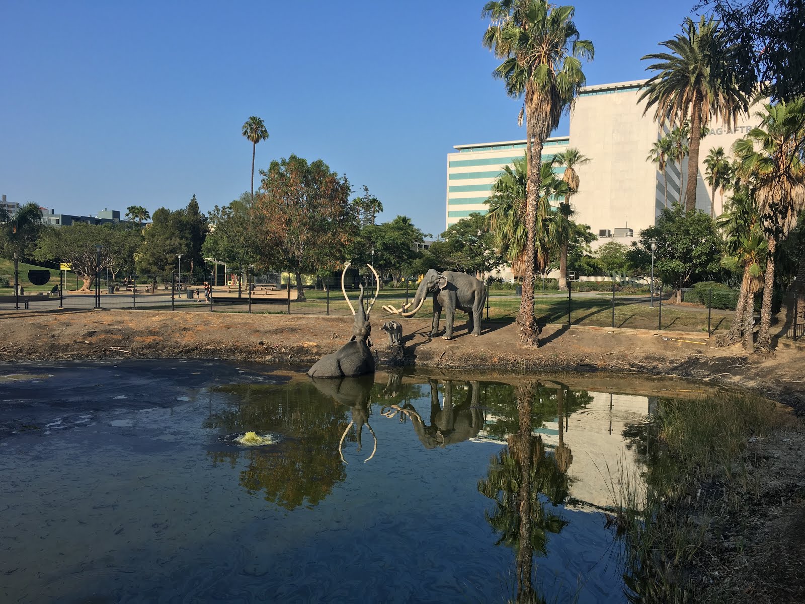 Experiencing Los Angeles: Miracle Mile: La Brea Tar Pits, Urban Light ...