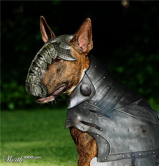 Dunia Dalam Gambar: Armored Animals