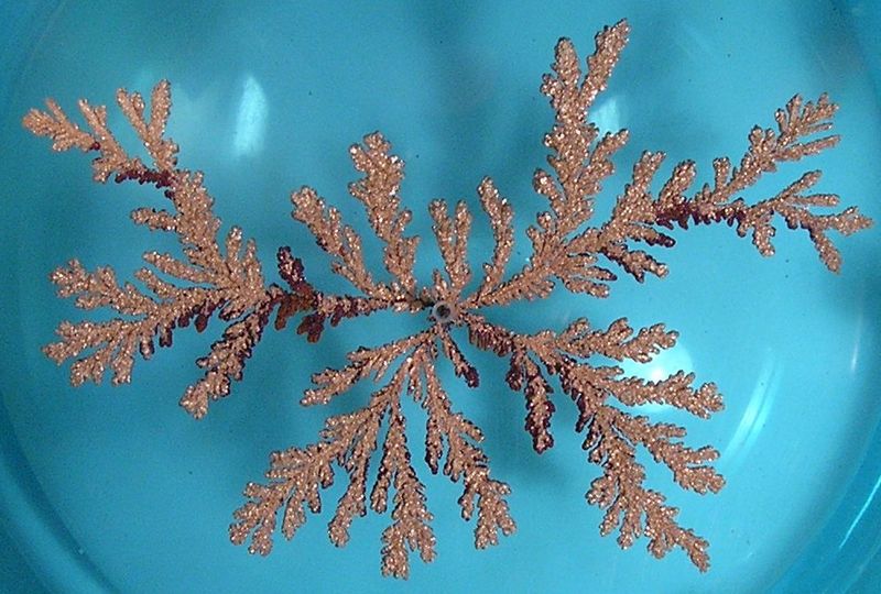 The Agatelady: Adventures and Events: Fractal Geometry -- a Follow Up