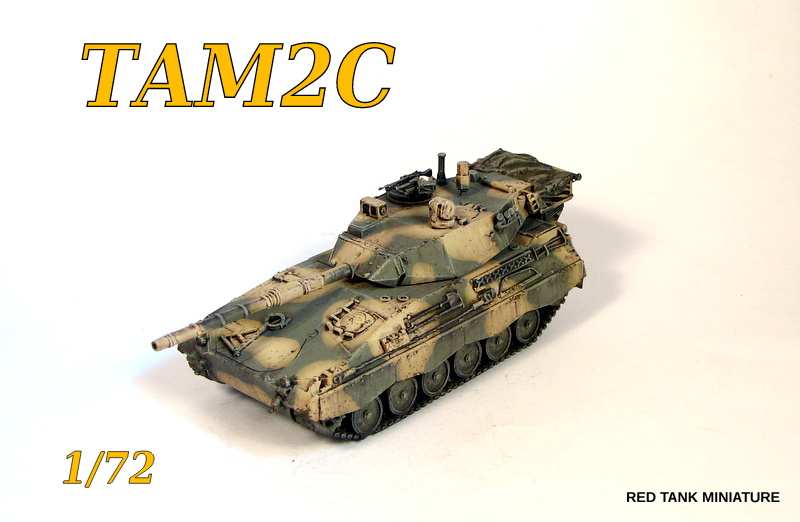 Gulumik Military Models: TAM-2C 1/72