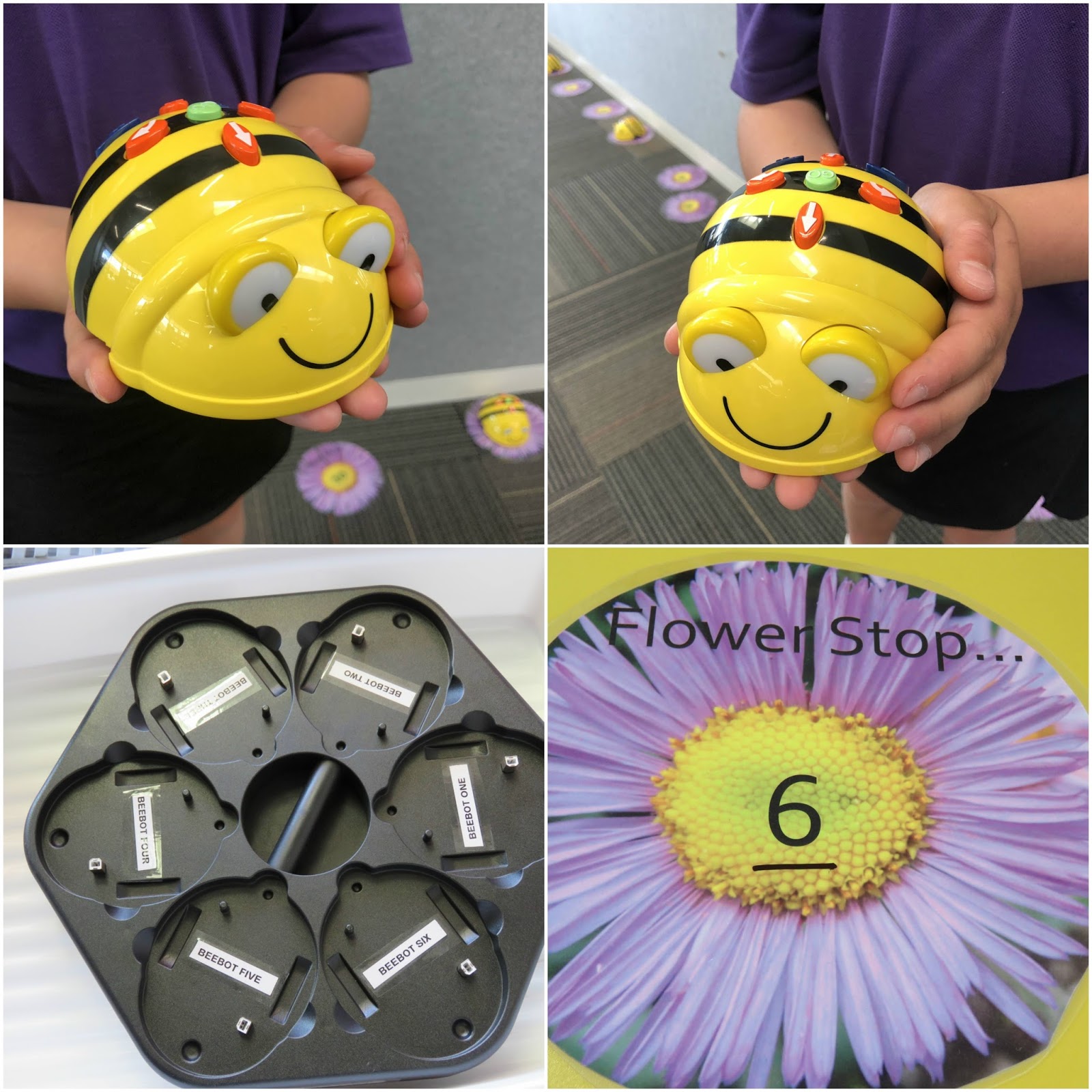 Rāwhiti By The Sea: A Buzzy Time with Beebots - Organisation...Flower ...