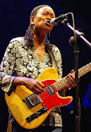 Musician By Night: The Outlaws