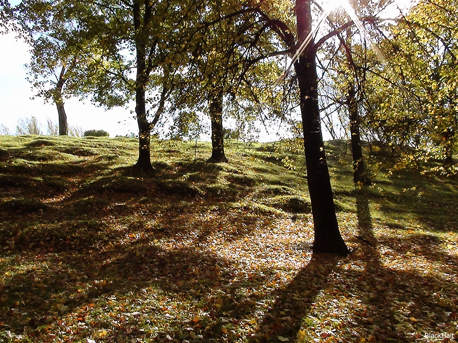 Rudens #1 - PhotoBlogSite