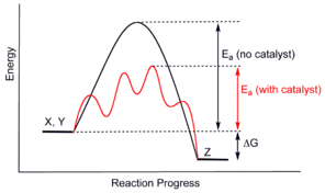 ENZIM DAN METABOLISME: ENZIM