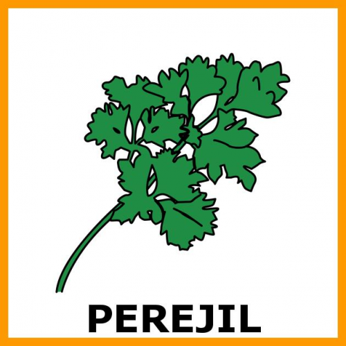 "LA MIRADA ESPECIAL": CARTELES PARA EL HUERTO ESCOLAR