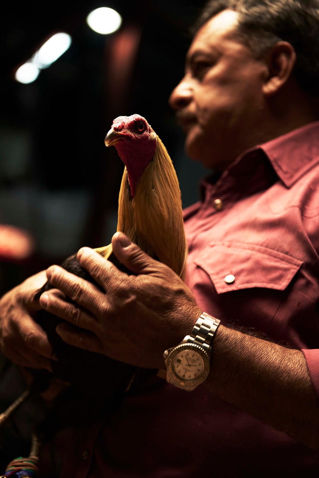 Los galleros de México